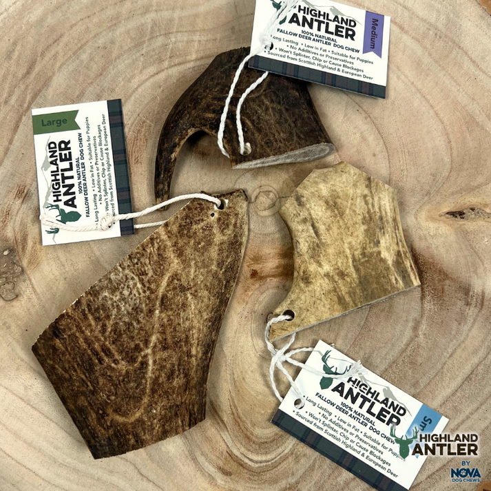 Antler Fallow Small (Under 75g) – The Dogs Butcher