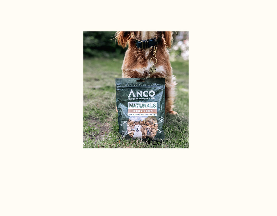 ANCO Treats & Chews – Natural Air‑Dried & Cold‑Pressed Rewards | The ...